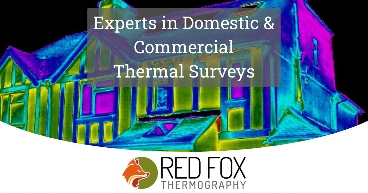 Thermal Imaging Survey - Red Fox Thermography